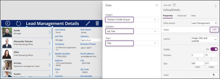 Create Multiple Tabs in Power Apps Form [Download Lead Management App ...