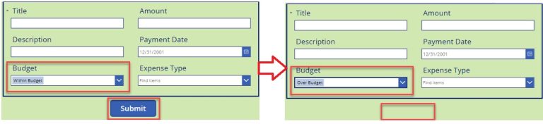 Show Hide Fields Based On Power Apps Dropdown Selection